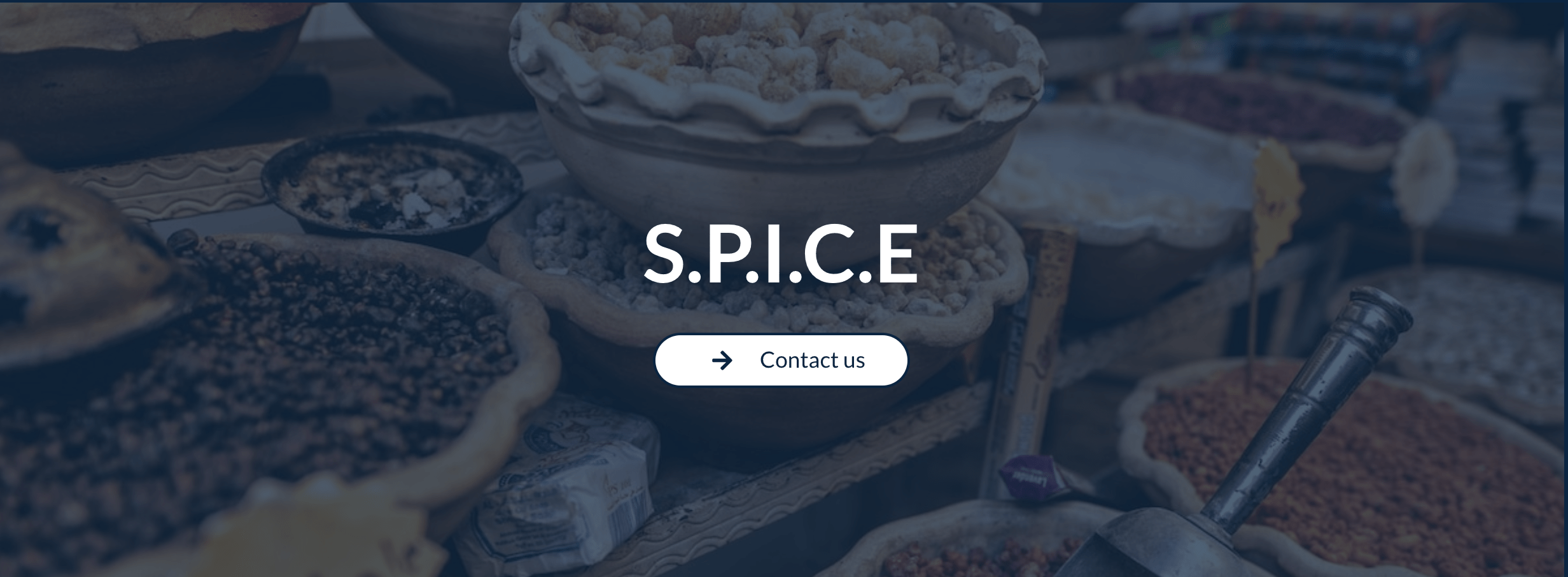 S.P.I.C.E - Business Markers